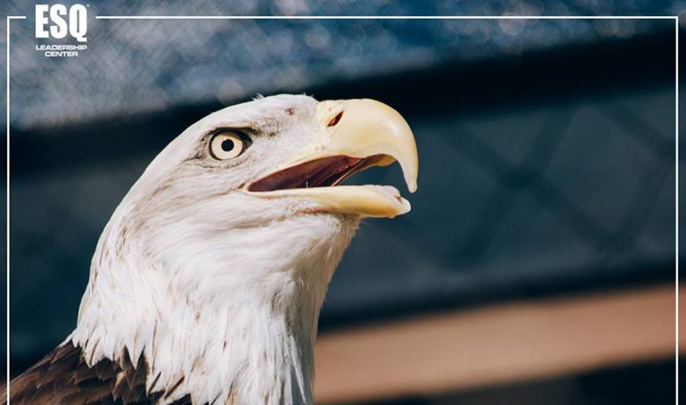 Mati atau Sukses Bertransformasi Seperti Burung Elang - ESQ Training